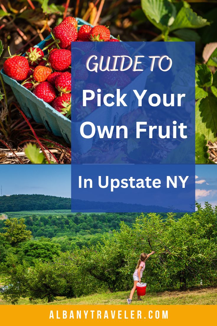 Guide To Pick Your Own Fruit Near Me - Albany NY