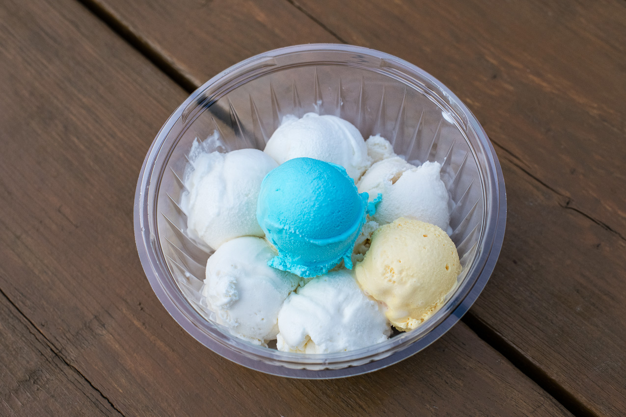 Scoop Up A Trip Around The World At Moxies Ice Cream - Albany Traveler